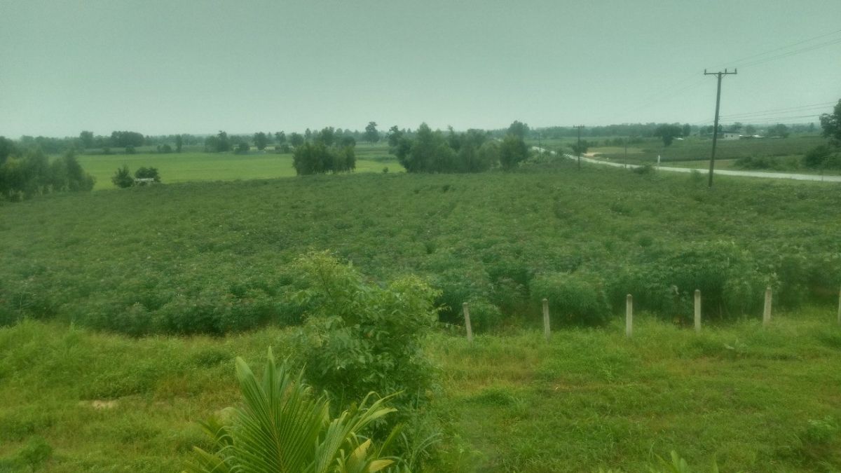 กรรมรักข้ามภพ