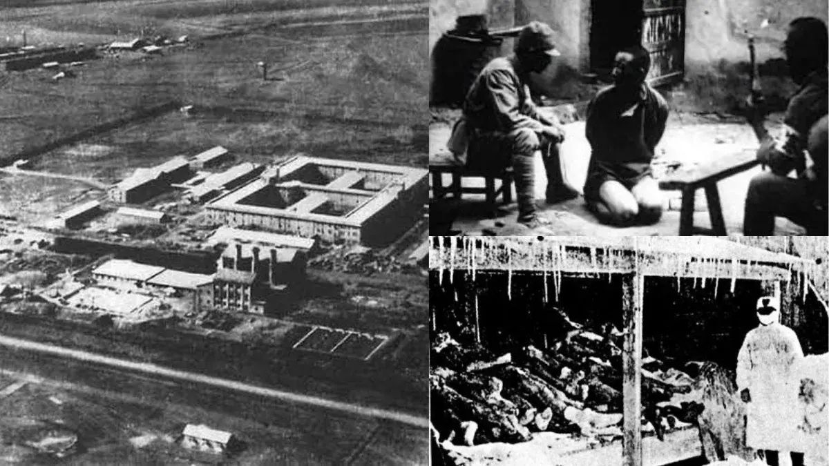 Dashboard - Social Network - Page.PostJung.com