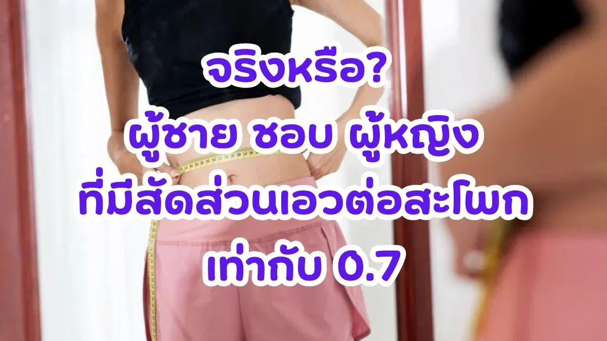 Page ของ NOOK BOOD - Page.PostJung.com