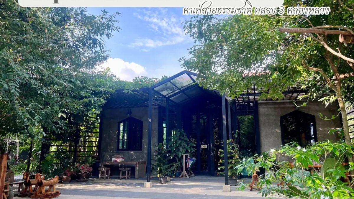 Triple Tree Cafe & Garden คลอง 3 คลองหลวง คาเฟ่สไตล์ธรรมชาติ