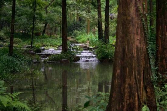 รูปปั้น Dreaming of the Tiger ที่น้ำพุร้อน Hupao Spring